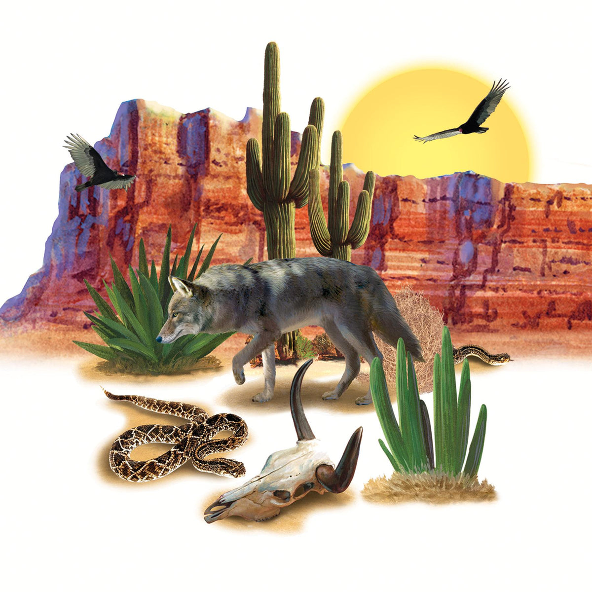 Bulk Western Party Wild West Desert Props (12 Packages of Props/Case ...